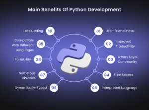 What Is Python Used For: 10+ Benefits of Python for Business